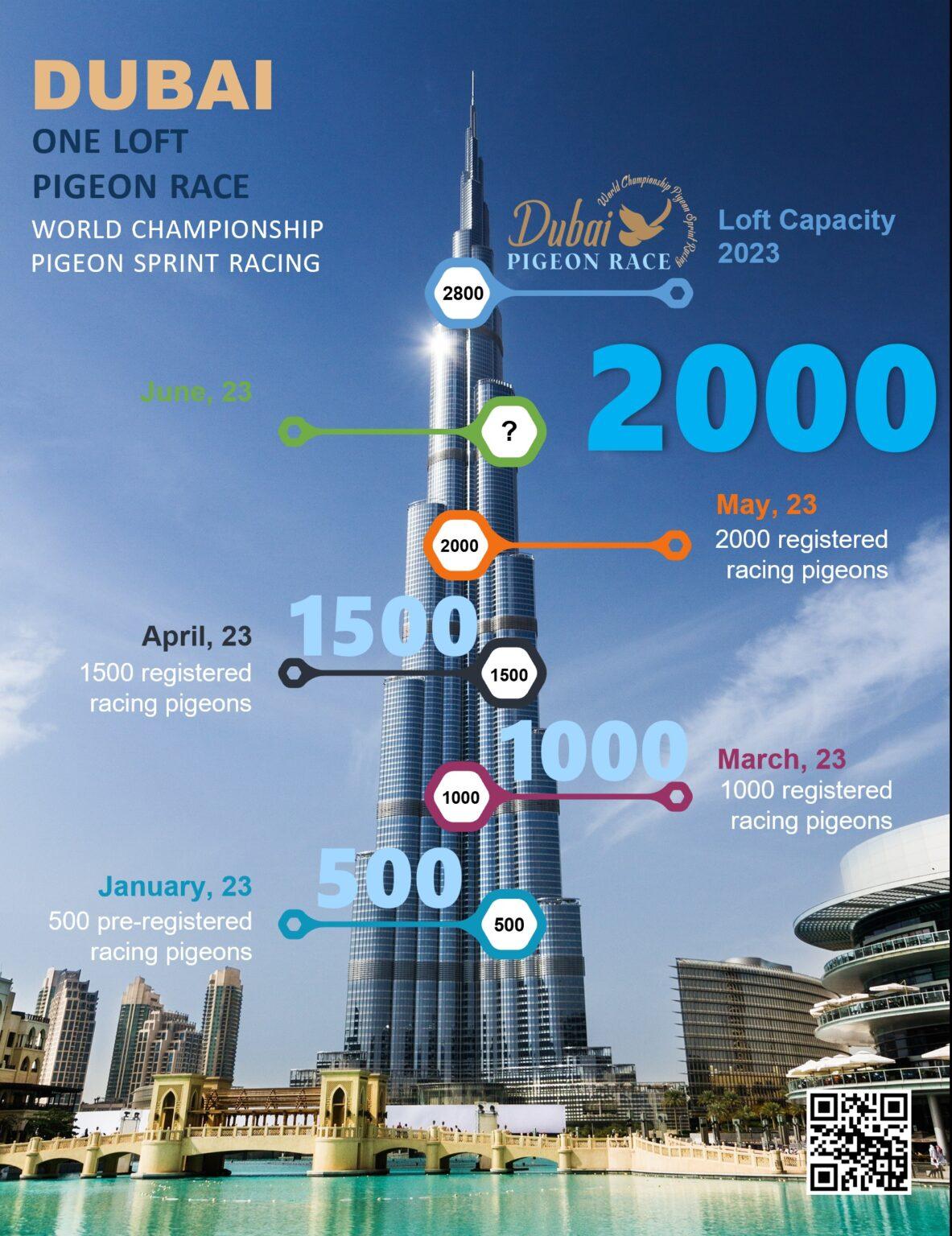 2000 Pigeons! - Dubai Pigeon Race