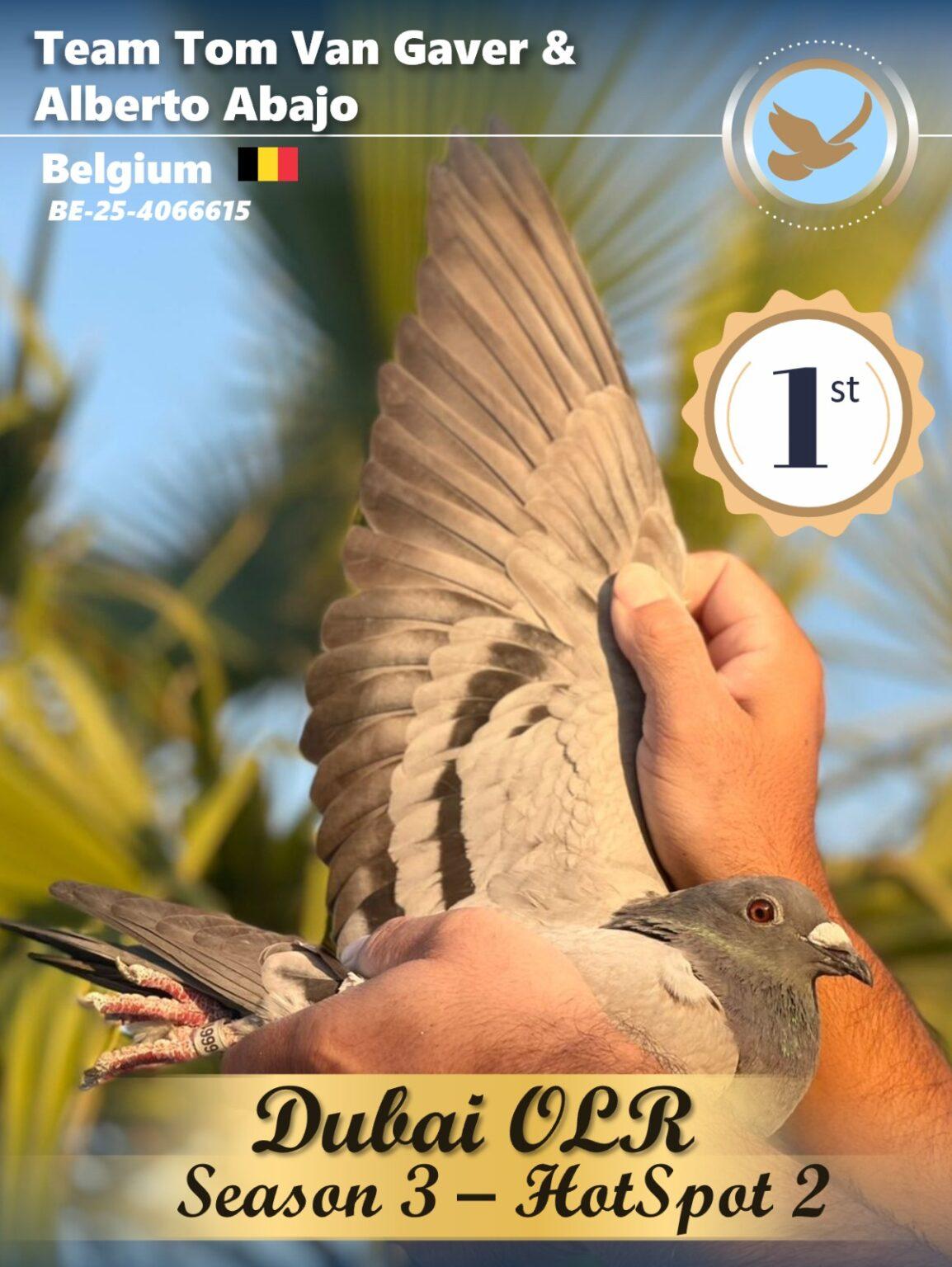 Home - Dubai Pigeon Race